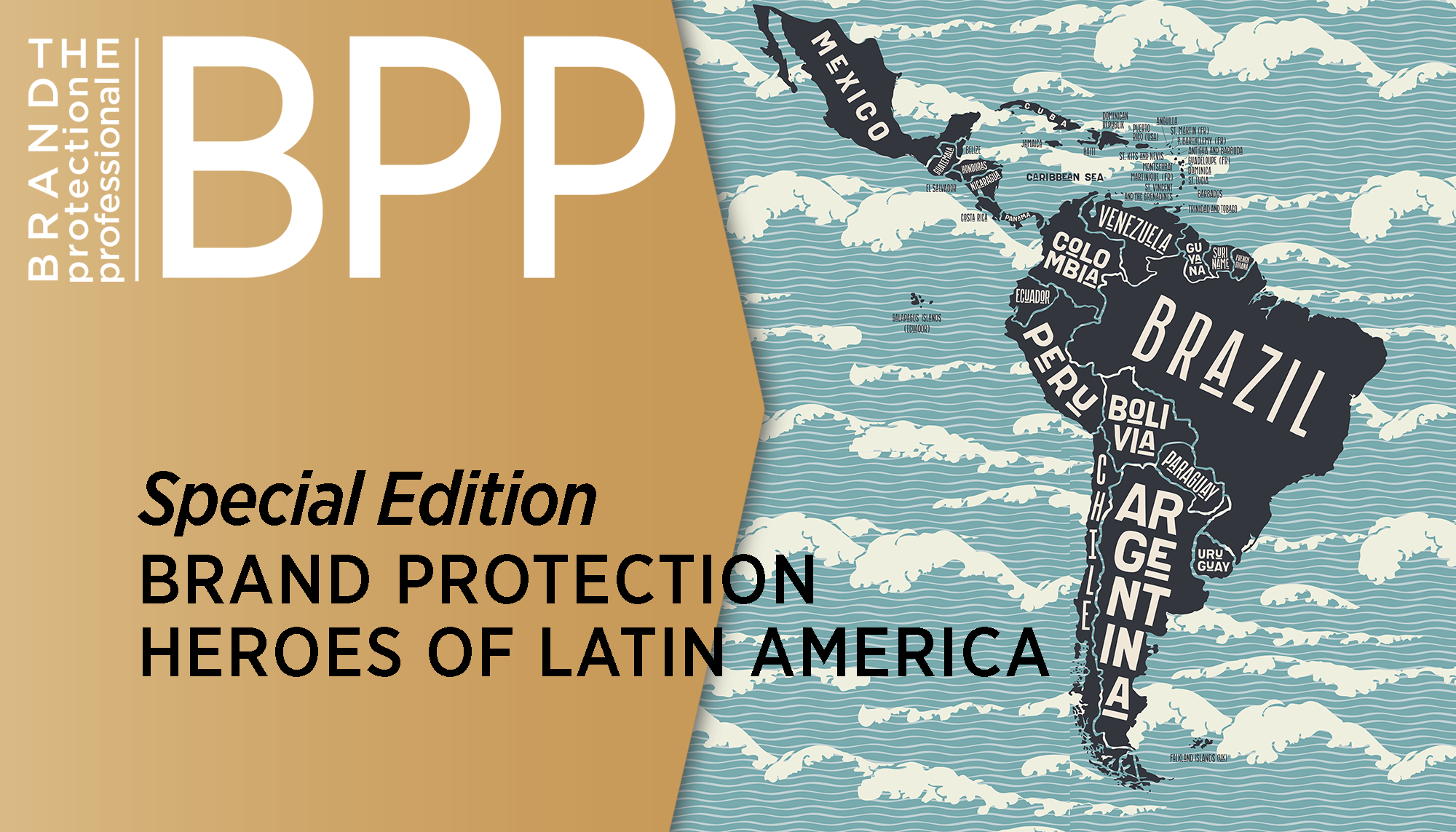 The Brand Protection Professional (BPP) – Center for Anti ...